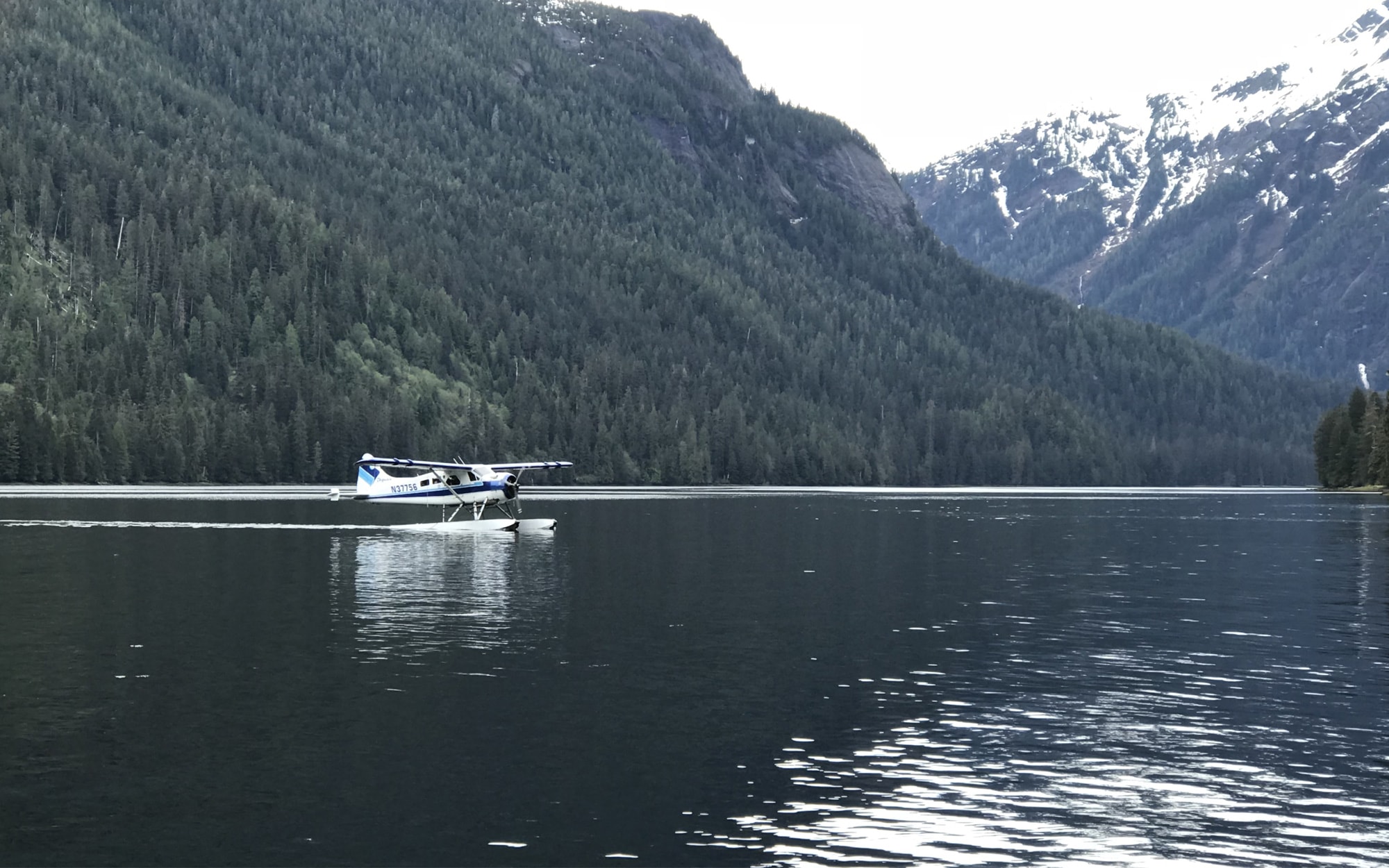 Seaplanes collide in mid-air during Alaskan cruise shore excursion ...